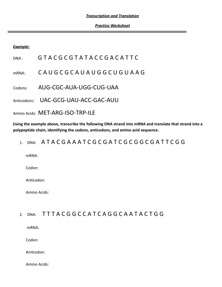 Transcription & Translation Practice Worksheet