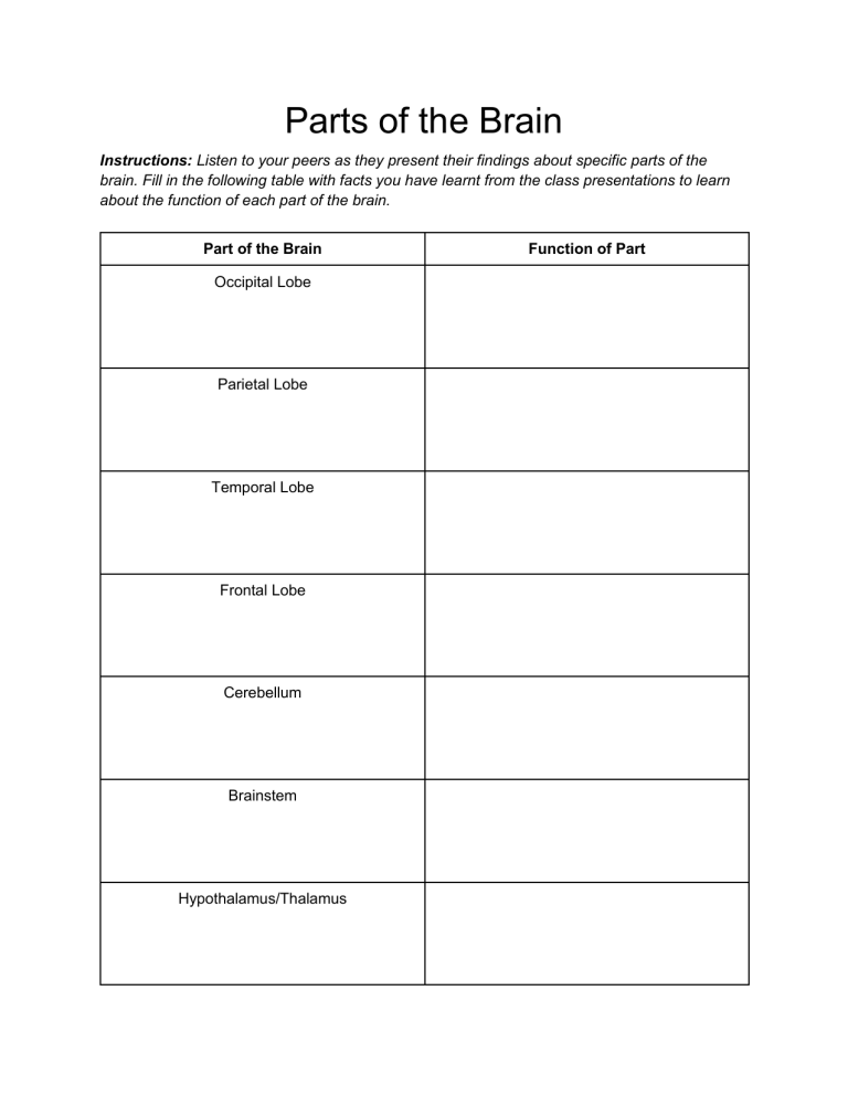 The Brain - Presentation Table