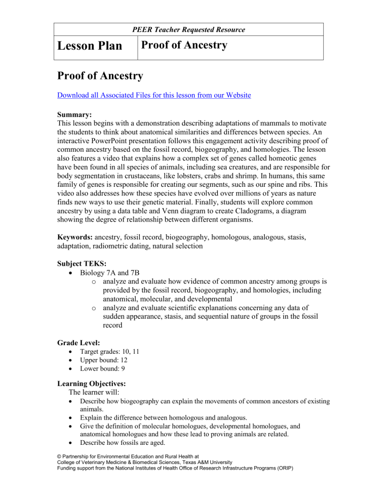 ancestry-lesson-plan