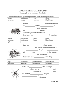 Arthropod Worksheet