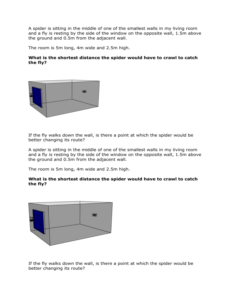 Spider and the fly - Trig Task