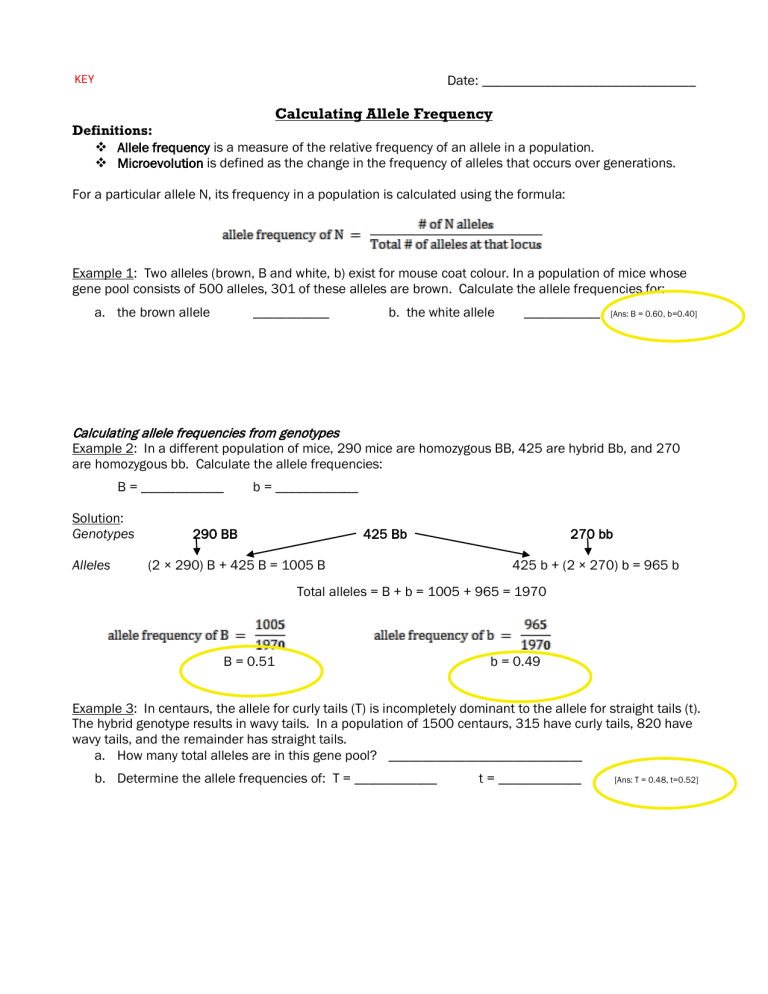 Allele Frequency & Hardy-Weinberg Worksheet