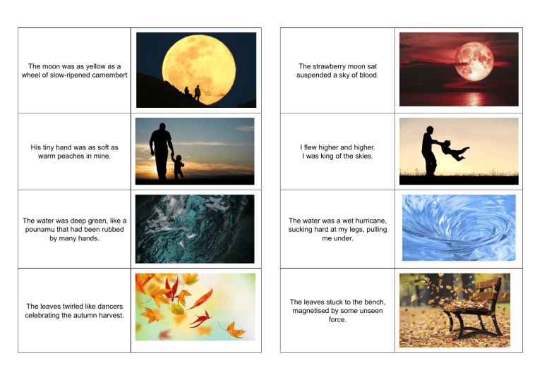 Language Features Simile & Metaphor matching