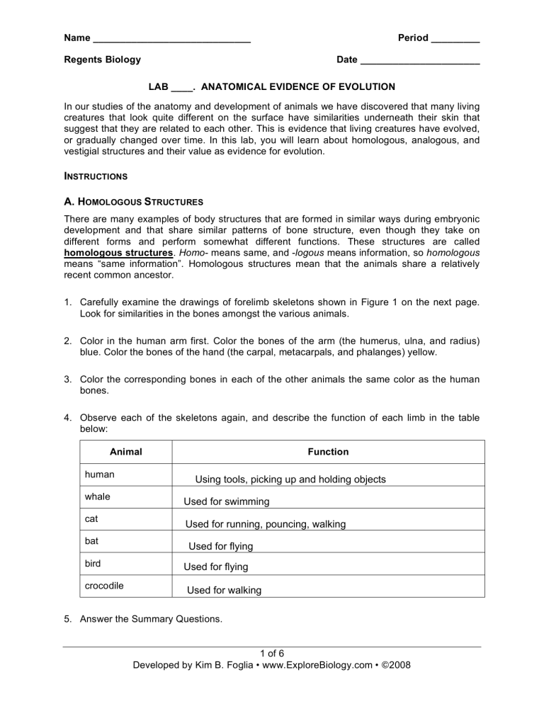 Lab-EvidenceofEvolution-KEY-2drk28c