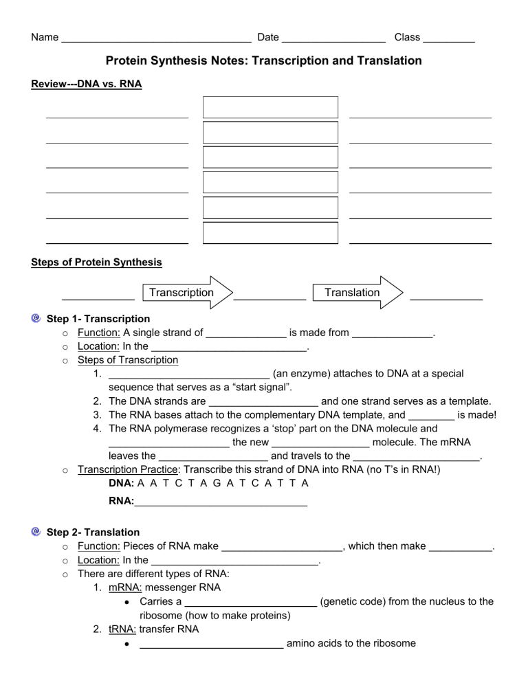 Transcription and Translation Fill In Notes