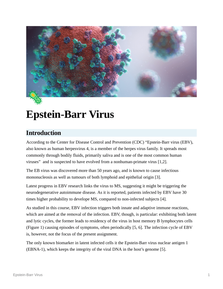 Epstein-Barr-Virus Immunity