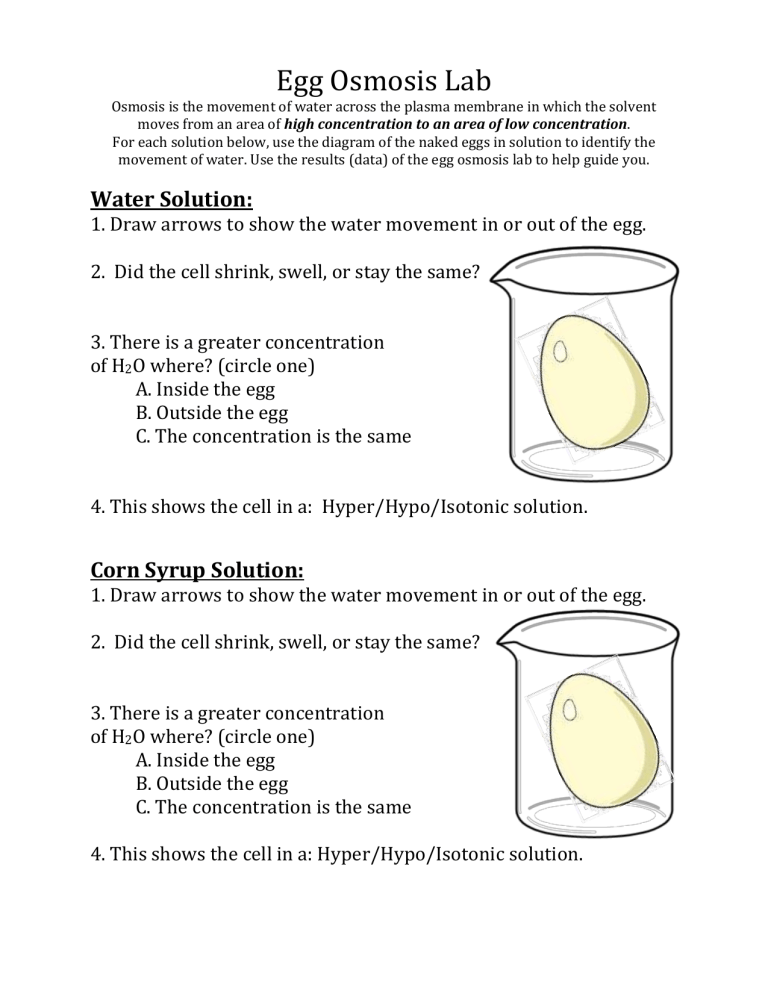 EggOsmosisLabReport-1