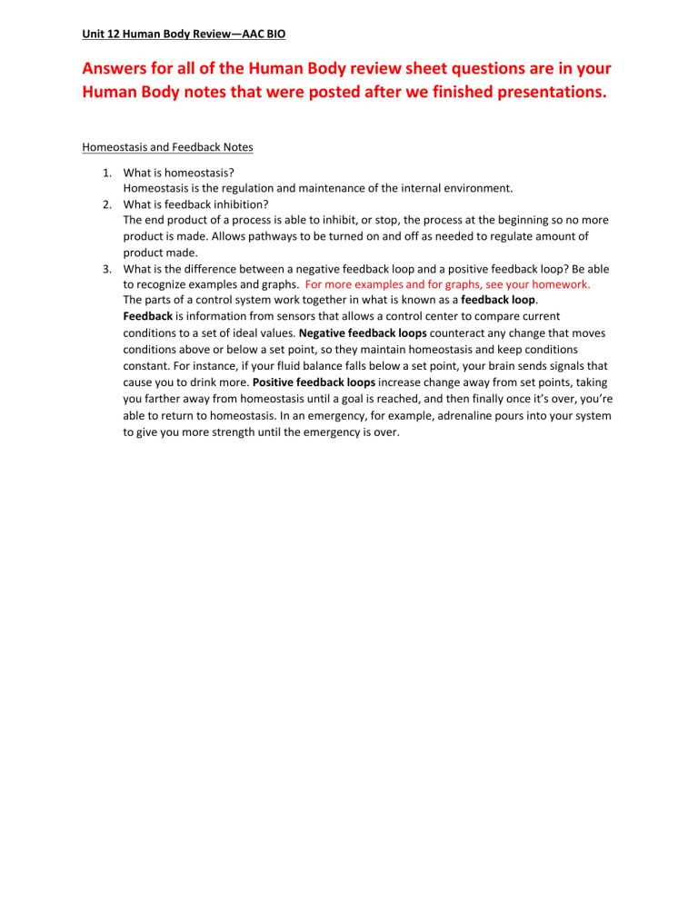 Human Body Homeostasis Review Sheet