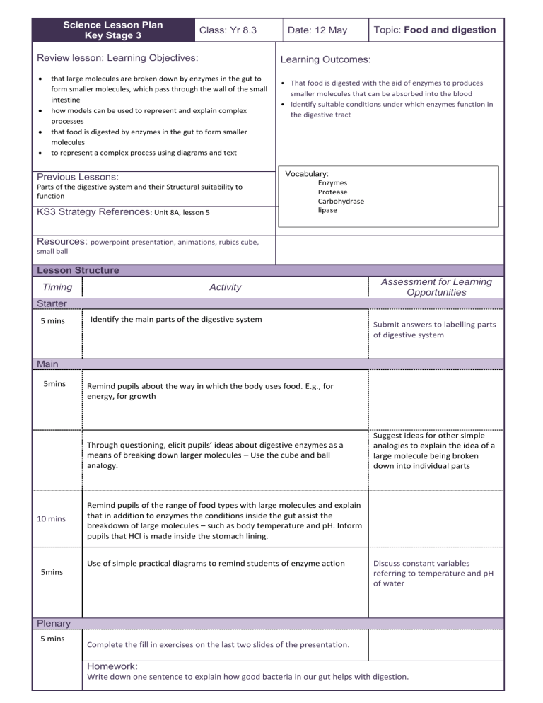 Food and Digestion Lesson Plan