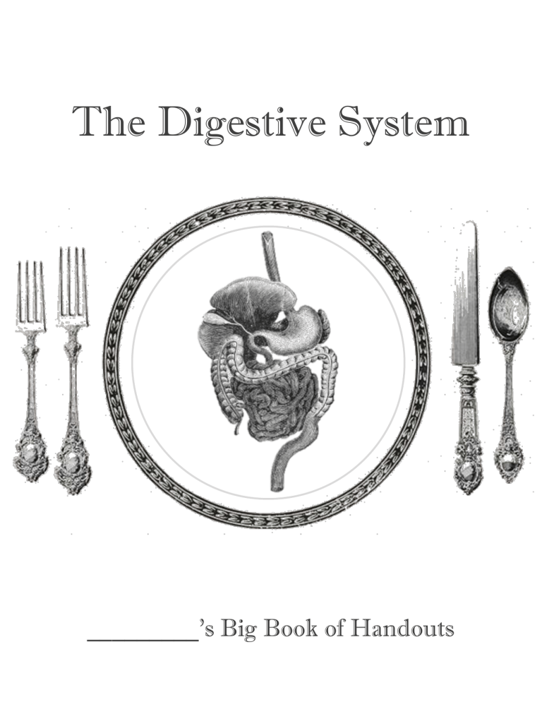 00 - digestion big book of handouts