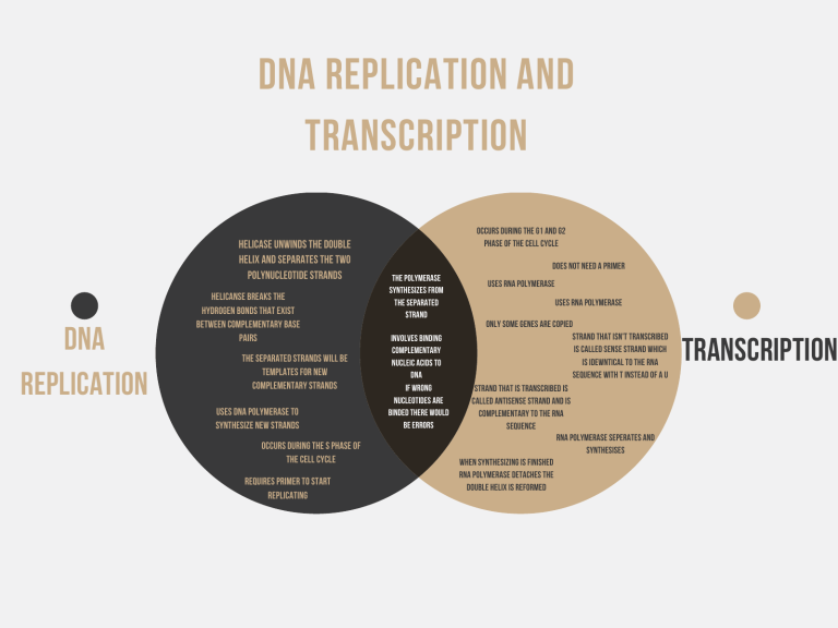 Replication and Translation