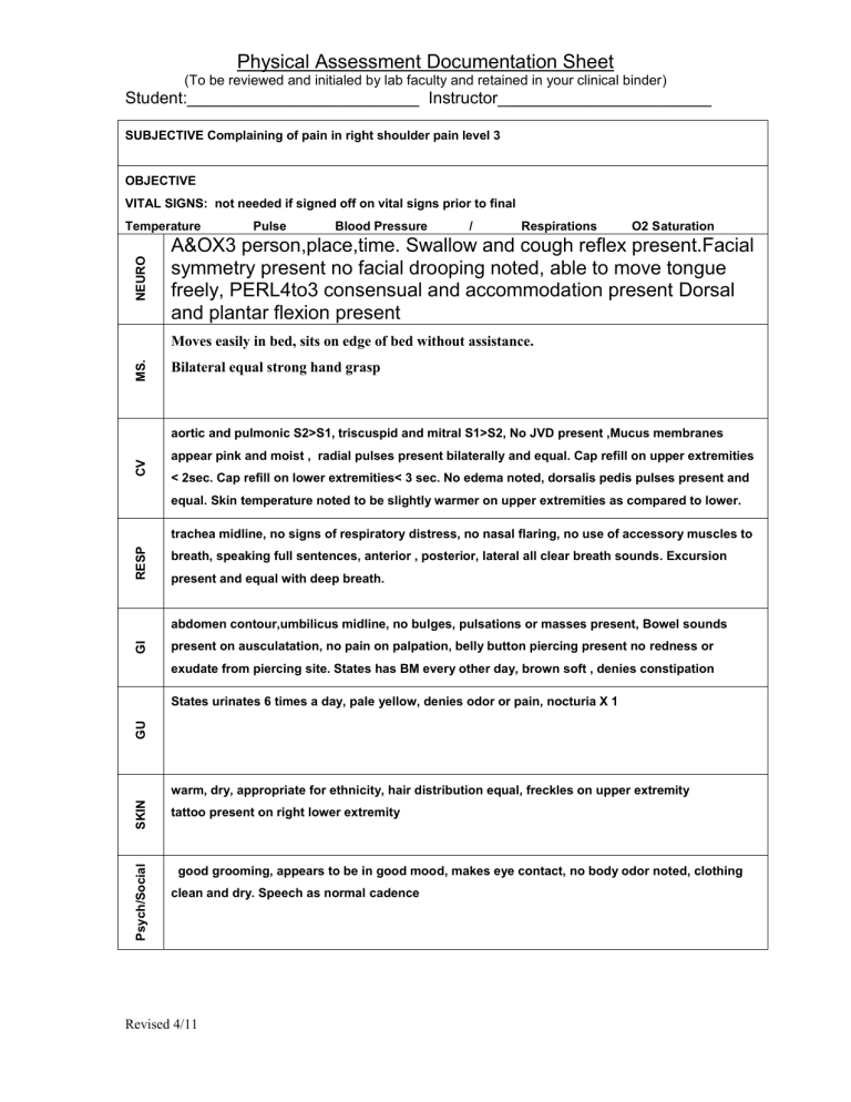Example Of Physical Assessment Documentation