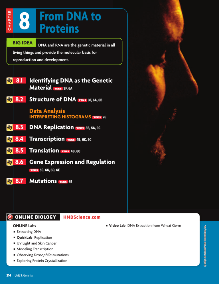 Bio Ch 8 From DNA T0 Proteins