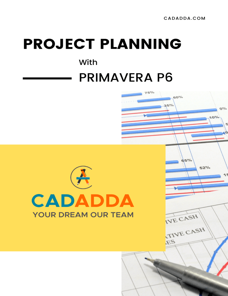 Primavera P6 Schedule