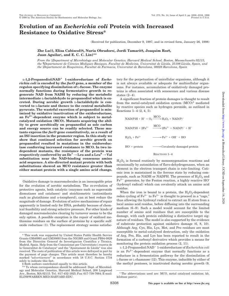 FucO oxidoreductase aerobic stability