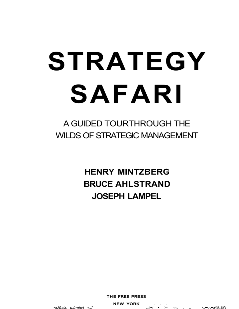 Strategy Safari