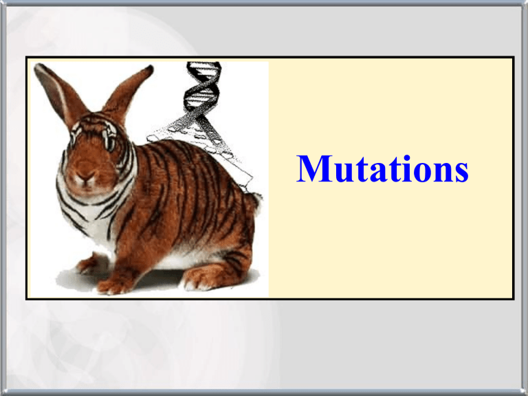 L13 14 mutations and genetic disorders