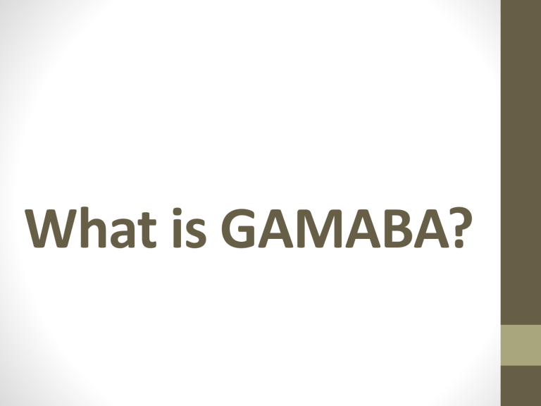 GAMABA & Environmental Impact on Traditional Arts