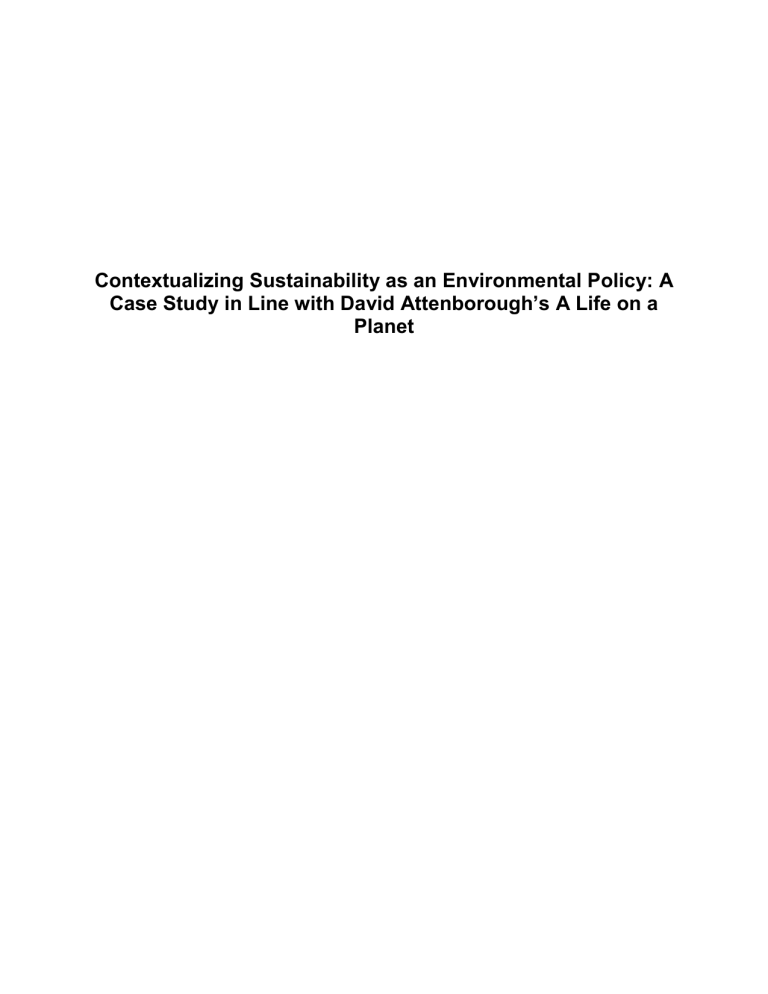 Sustainability as Environmental Policy: A Case Study