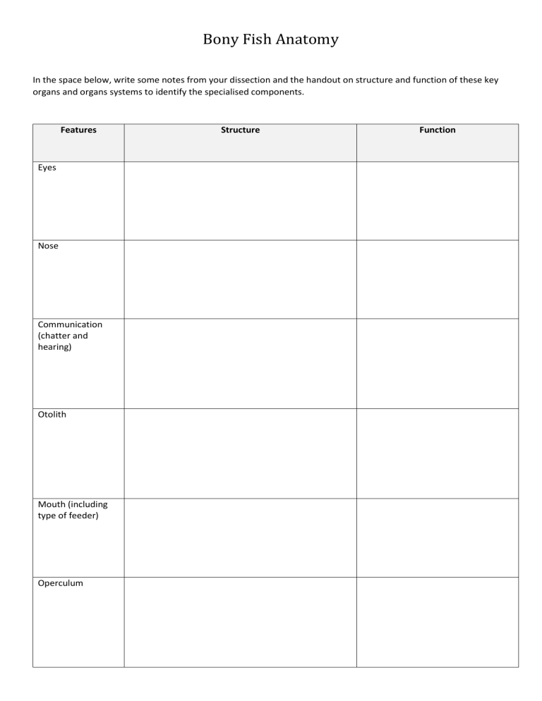 Bony Fish Anatomy Worksheet