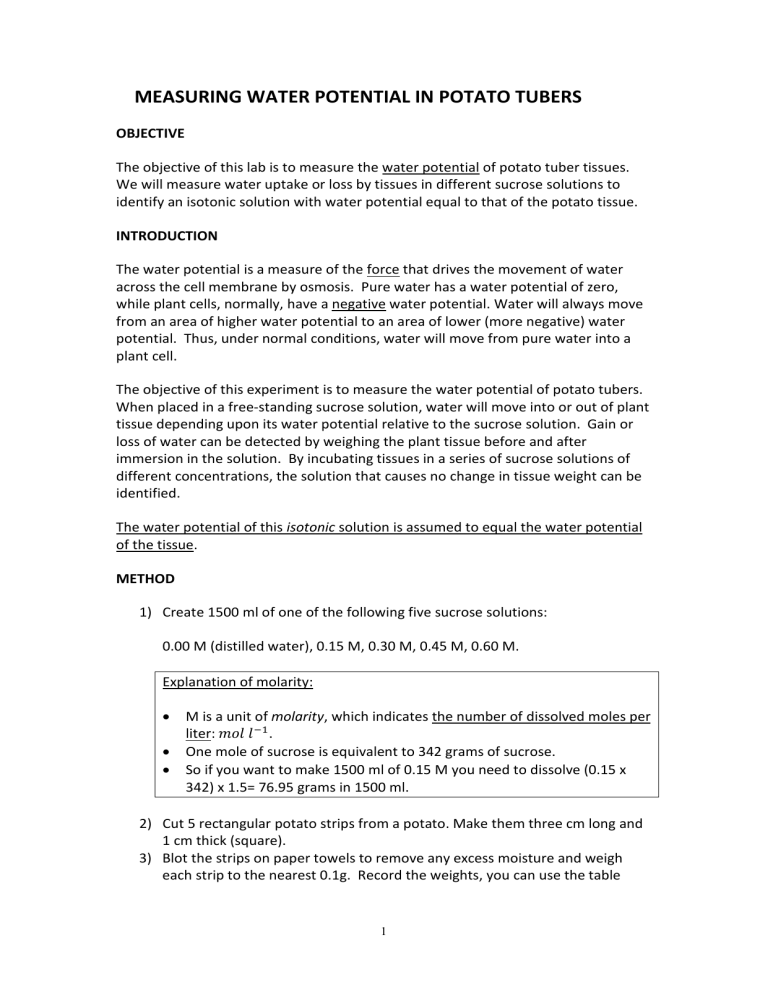 Potato Water Potential Lab: Experiment & Report Guide