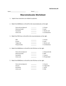 Macromolecules Worksheet: Biology Review