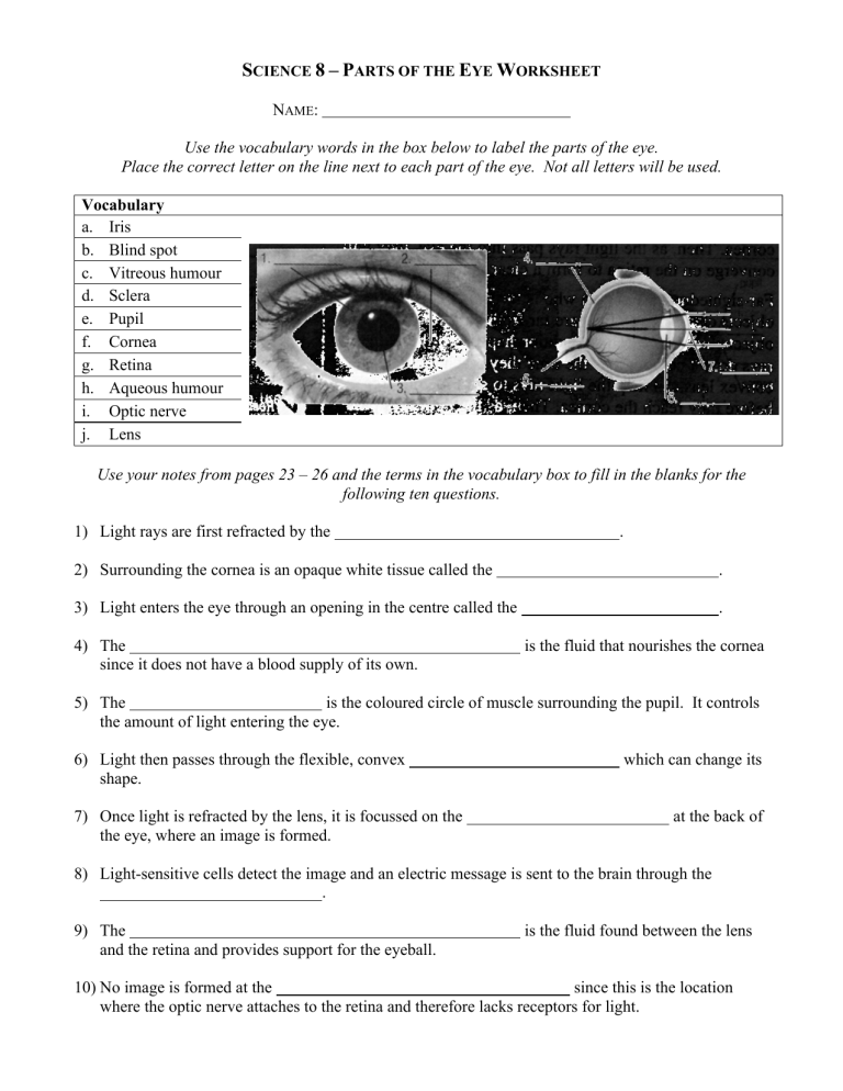 Parts of the Eye Worksheet - Science 8
