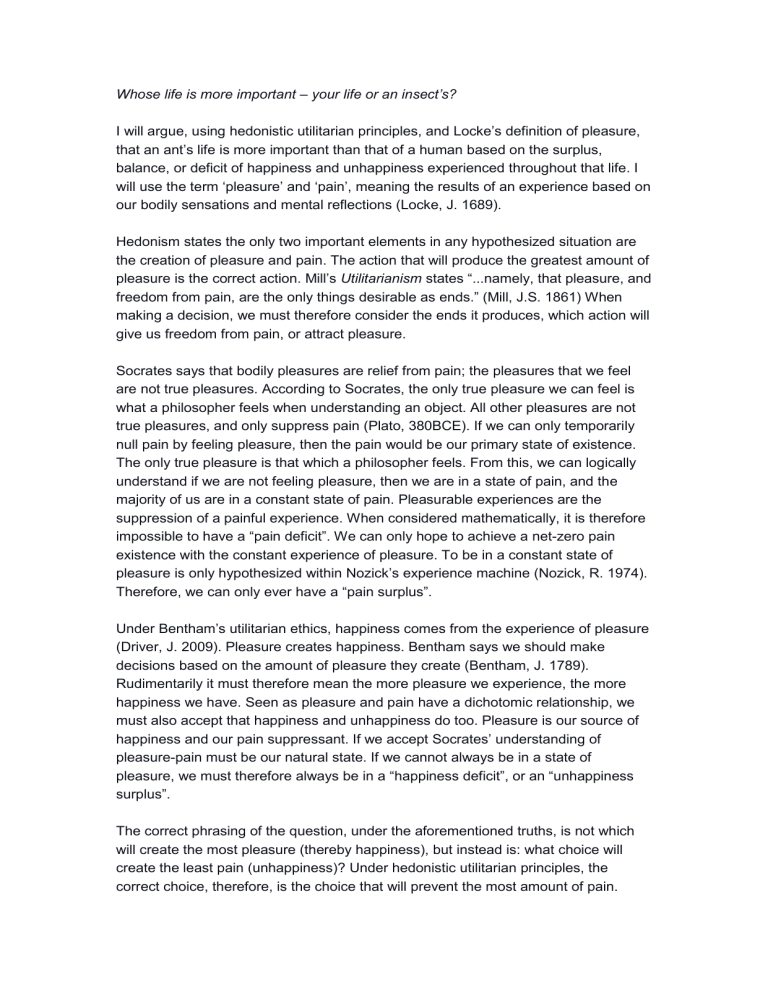 Human vs. Insect Life: A Utilitarian Perspective