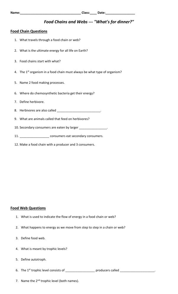 Food Chains & Webs Worksheet