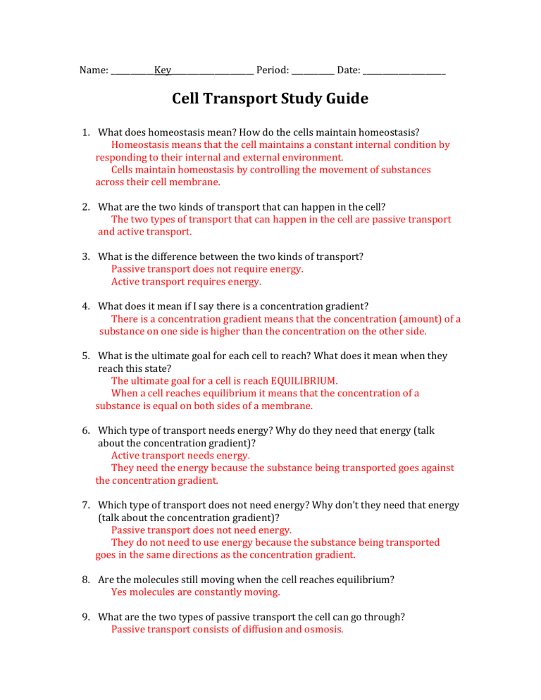 Cell Transport Study Guide: Diffusion, Osmosis, & Homeostasis