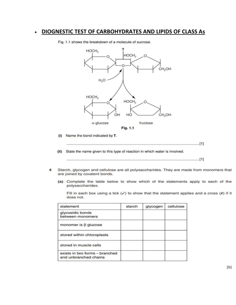 Carbohydrates & Lipids Test Worksheet