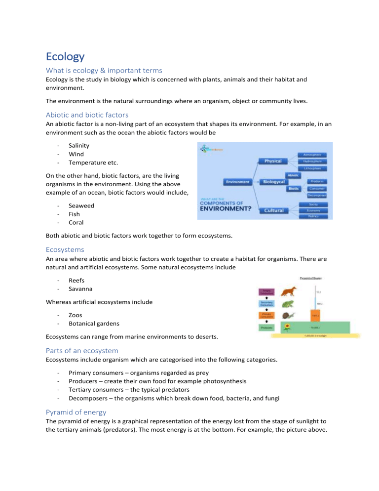 Ecology: Ecosystems, Adaptations & Energy Pyramid