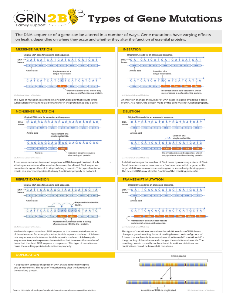Types of Gene Mutations: Missense, Insertion, Deletion & More