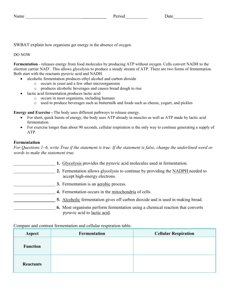 Fermentation & Cellular Respiration Worksheet