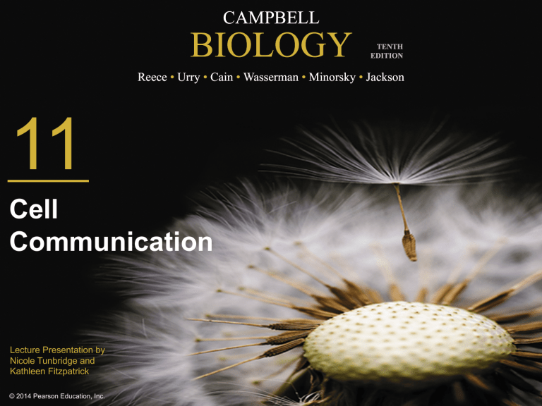 Cell Communication Lecture Presentation