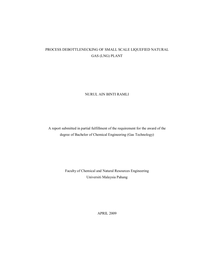 LNG Plant Debottlenecking Report