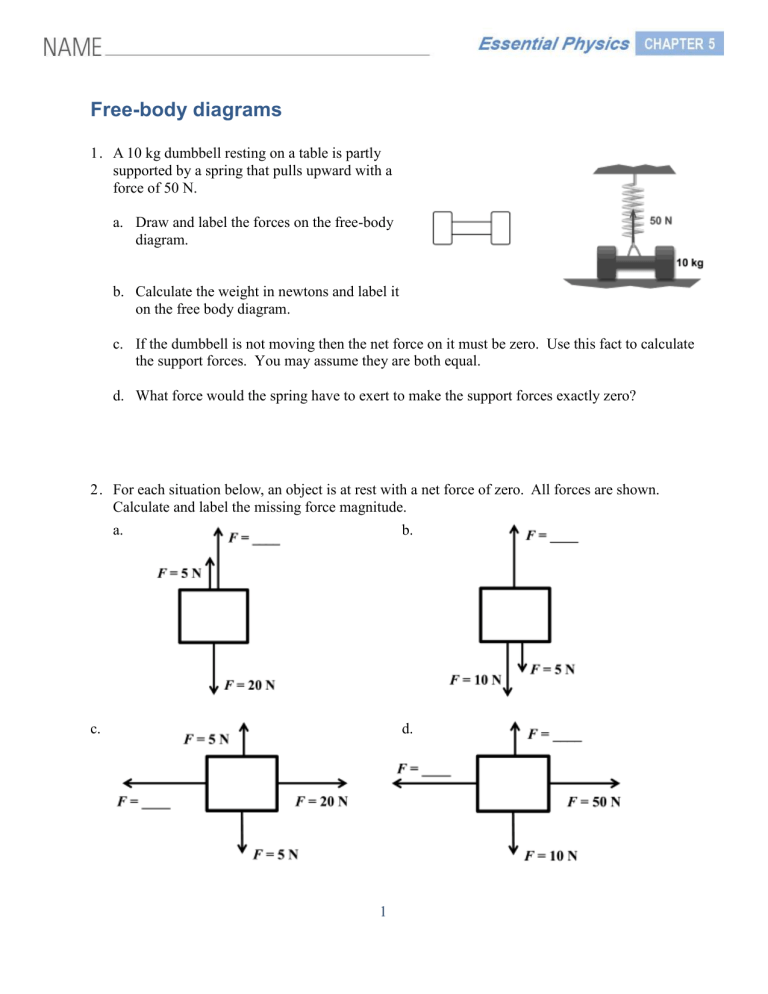 Free-Body Diagrams Worksheet: Physics Practice Problems