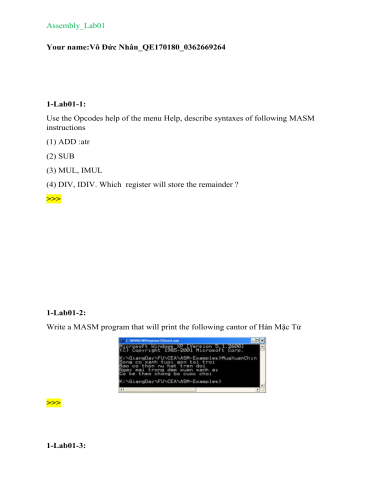 Assembly Language Lab Assignment