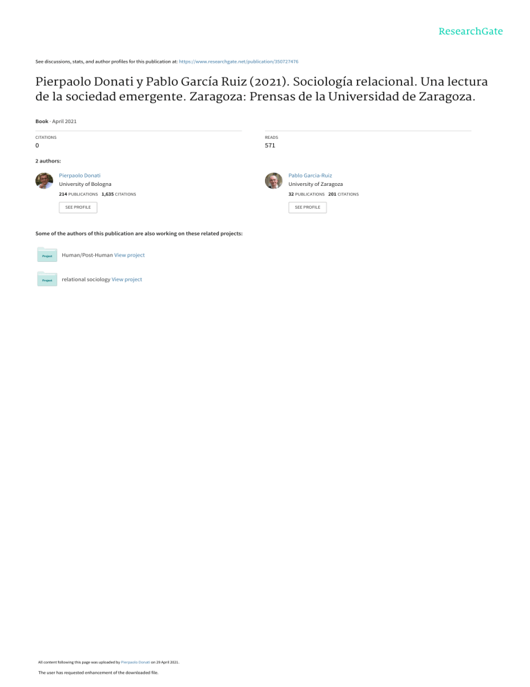 Sociología Relacional: Una Lectura de la Sociedad Emergente