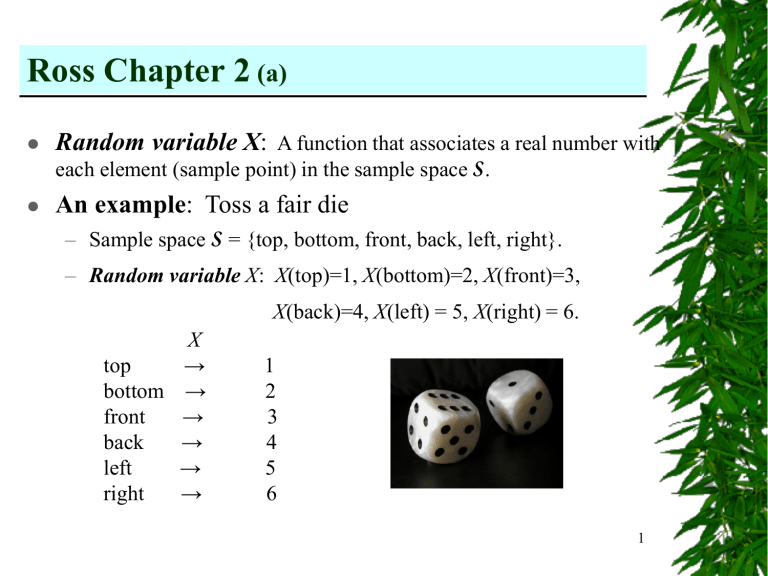 Random Variables & Probability Distributions