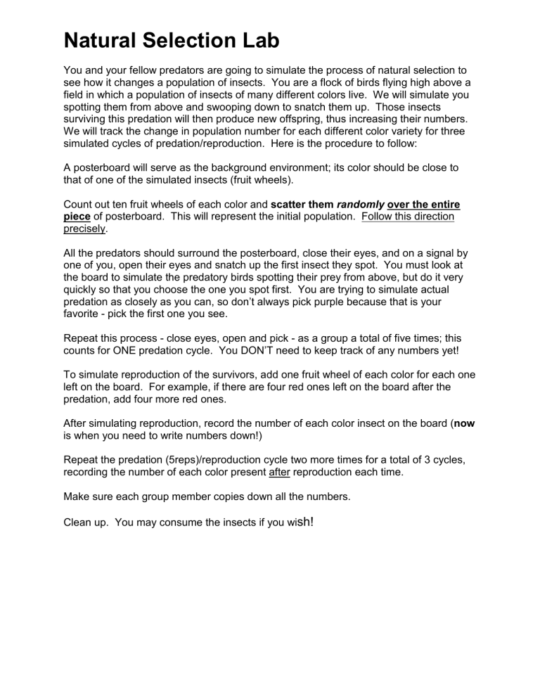 Natural Selection Lab Procedure