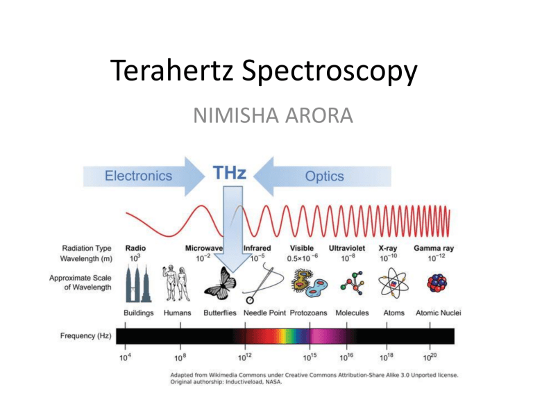 Terahertz Spectroscopy: Principles & Applications