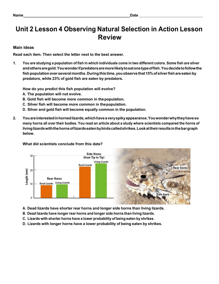 Natural Selection Lesson Review
