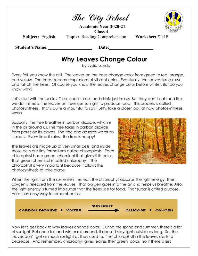 Why Leaves Change Color: Reading Comprehension Worksheet