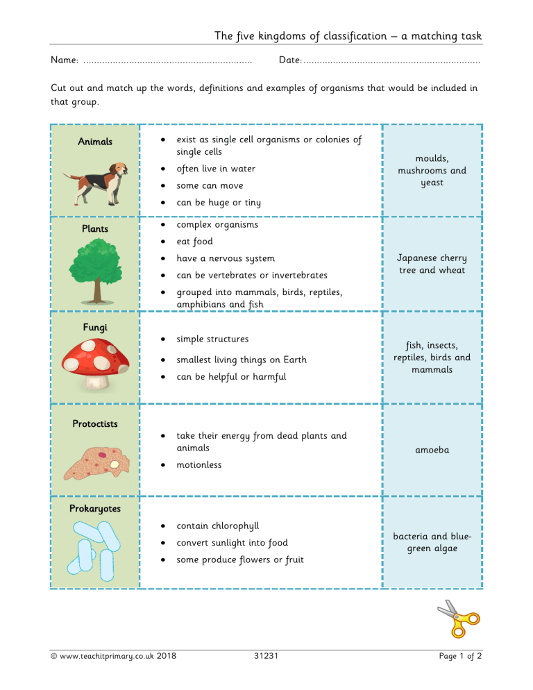 Five Kingdoms of Classification Matching Worksheet