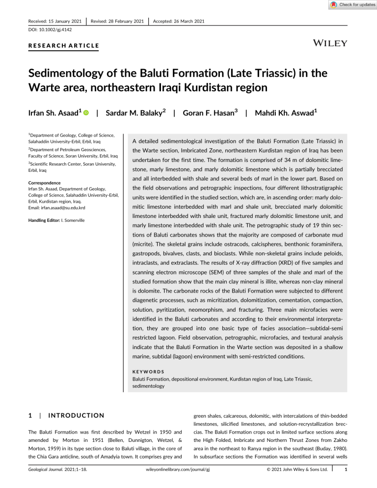 Baluti Formation Sedimentology, Iraqi Kurdistan