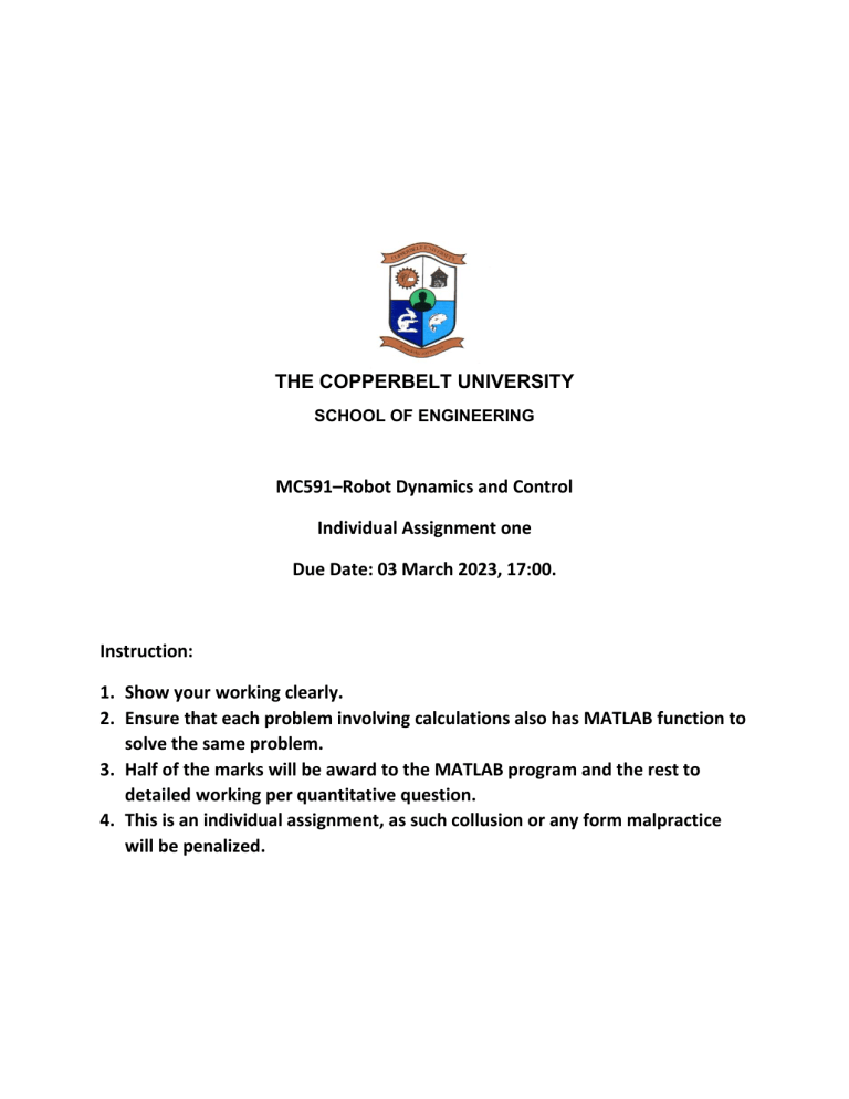 Robot Dynamics and Control Assignment