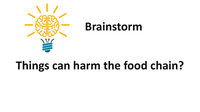 Harmful Substances in Food Chain Brainstorm