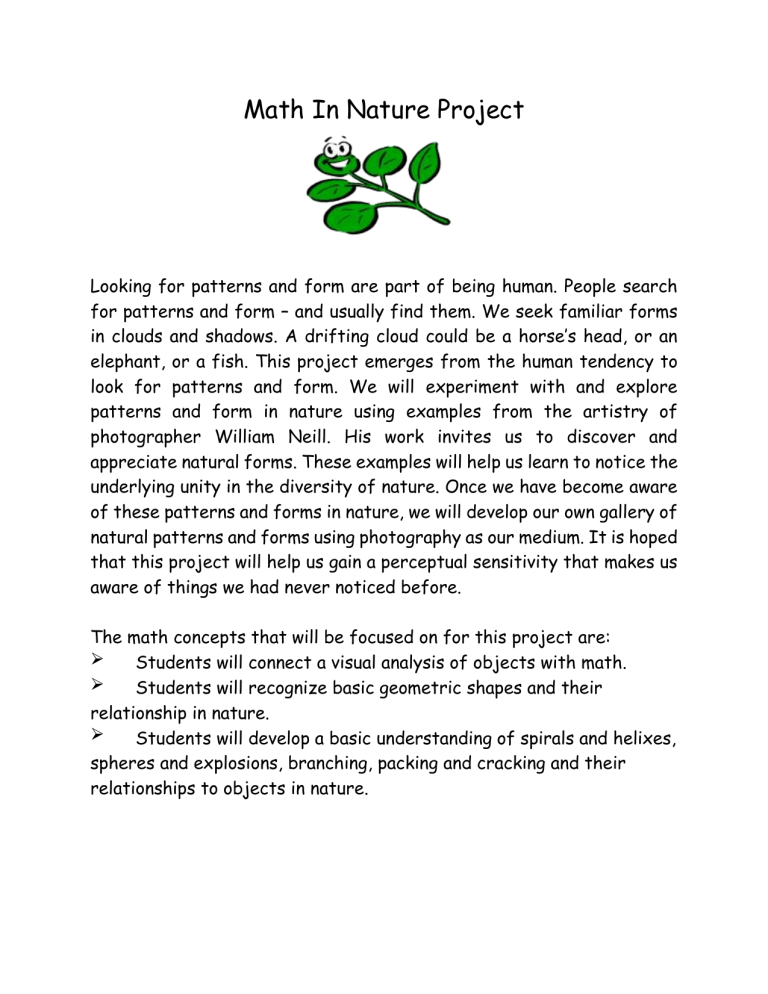 Math in Nature Project: Geometric Shapes & Photography