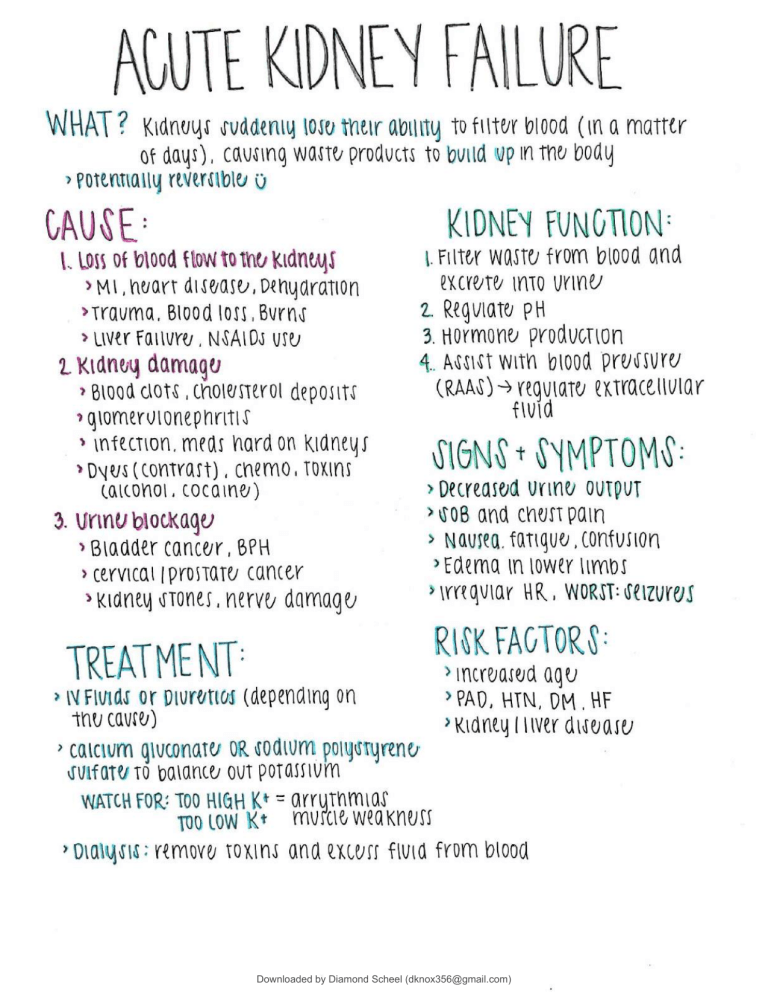 Acute Kidney Failure: Causes, Symptoms & Treatment